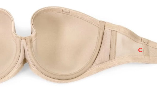 Bra Anatomy